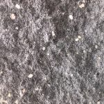 Austral Masonry | Retaining Walls | Blocks | Pavers | MD Brick